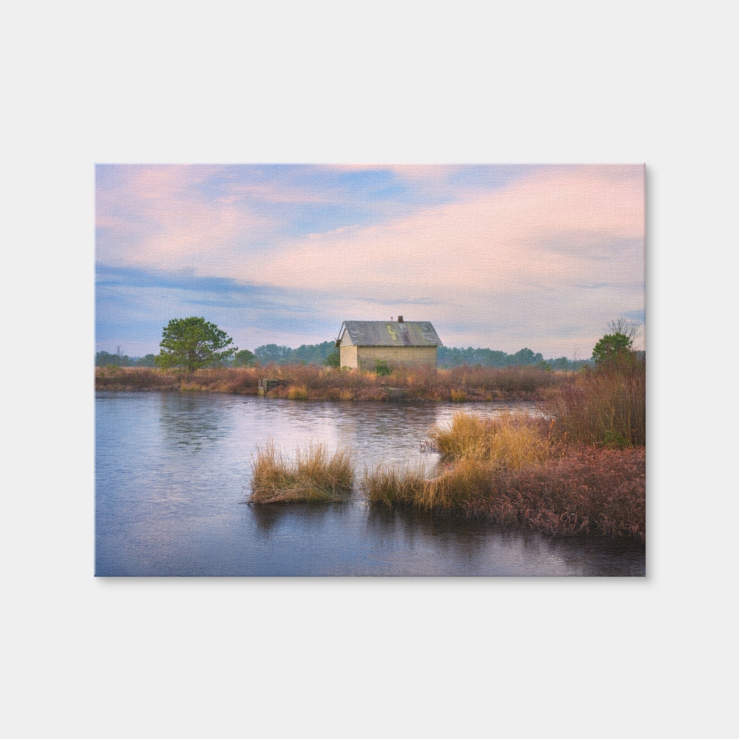 Cranberry Bog Winter Transition Wall Art