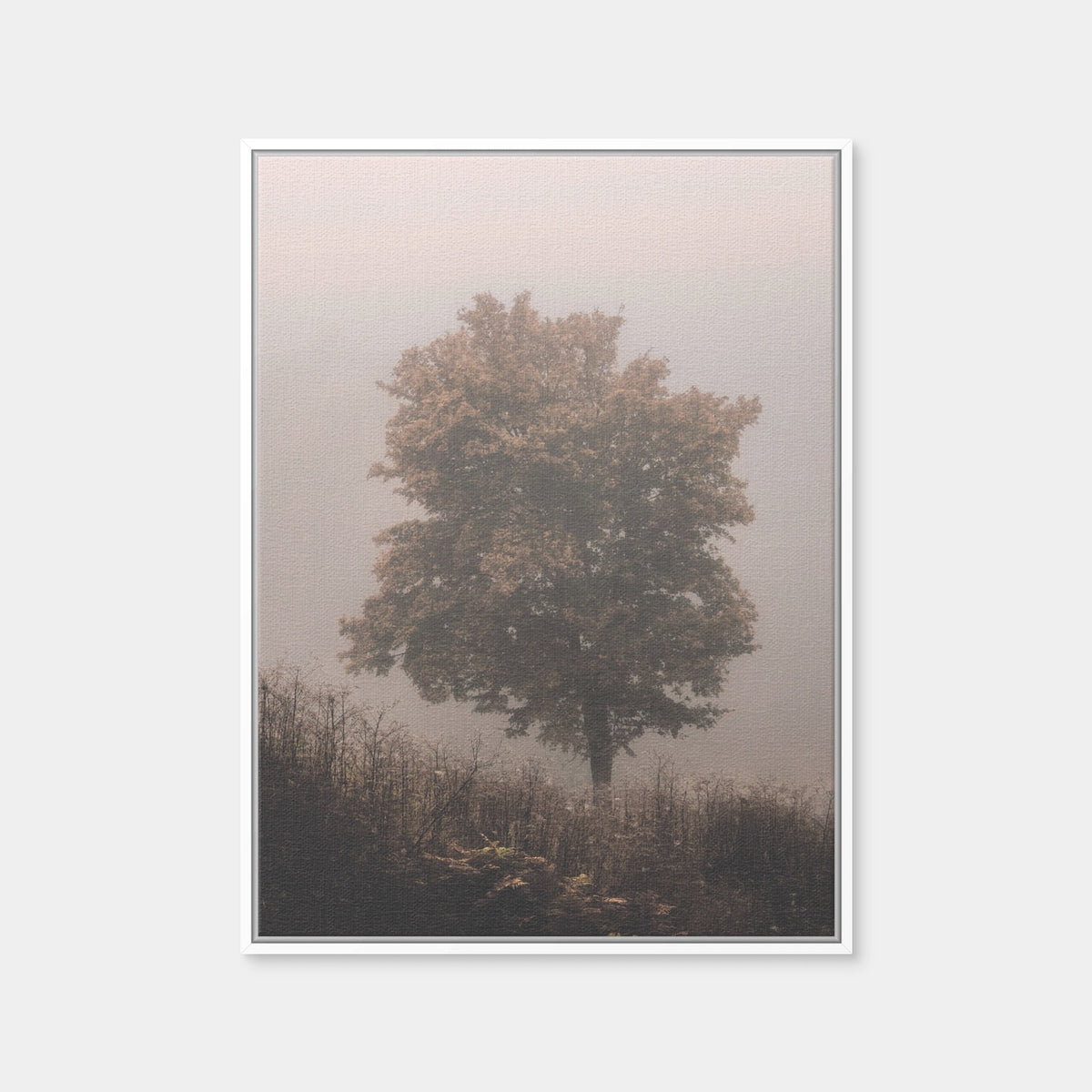 Pink Haze Wall Art