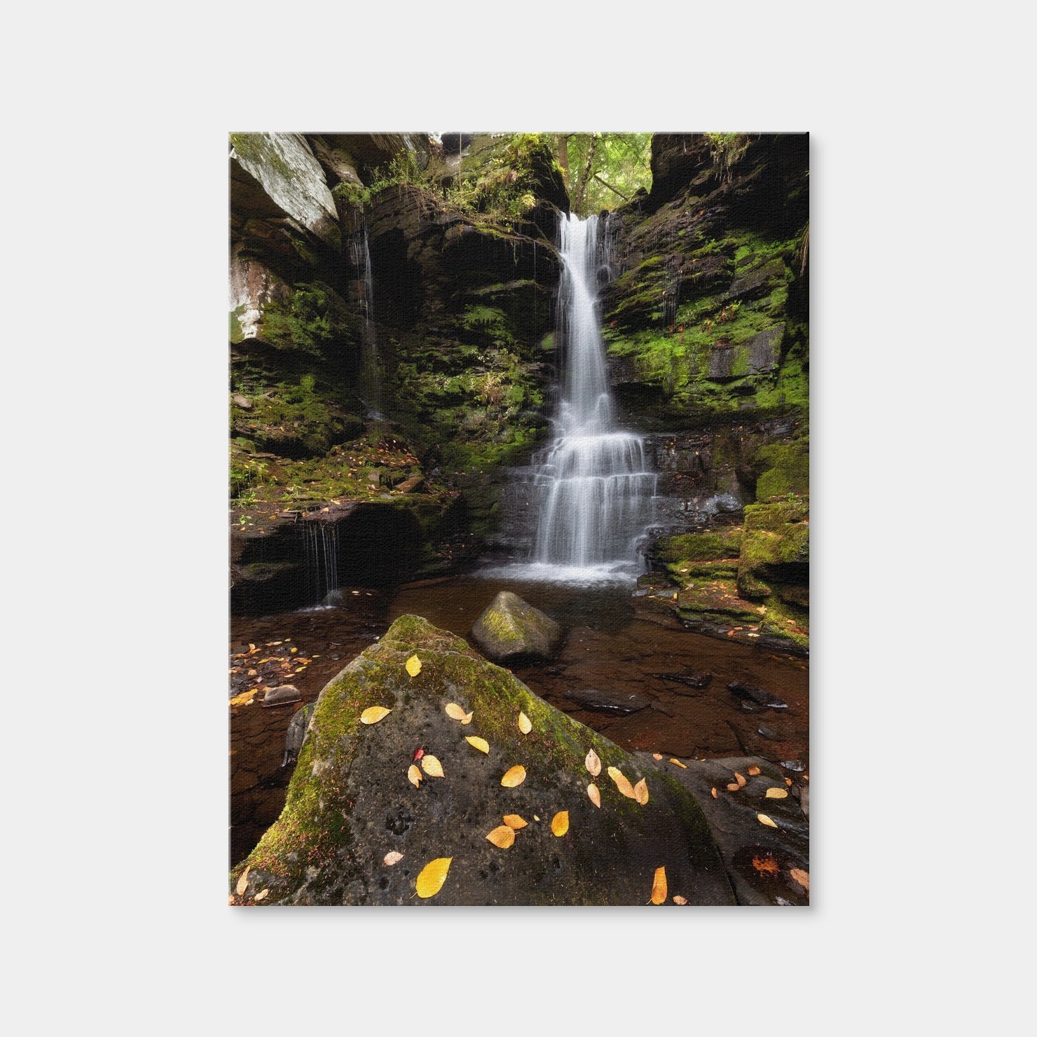 Private Property Wall Art